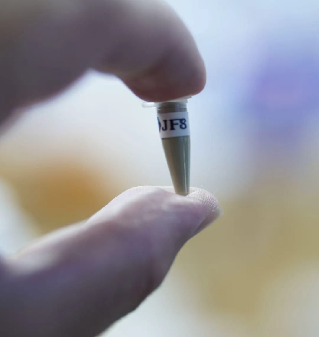 JF8 Low Resistance Nano Conductive Silver Paste for Phone/Android ...